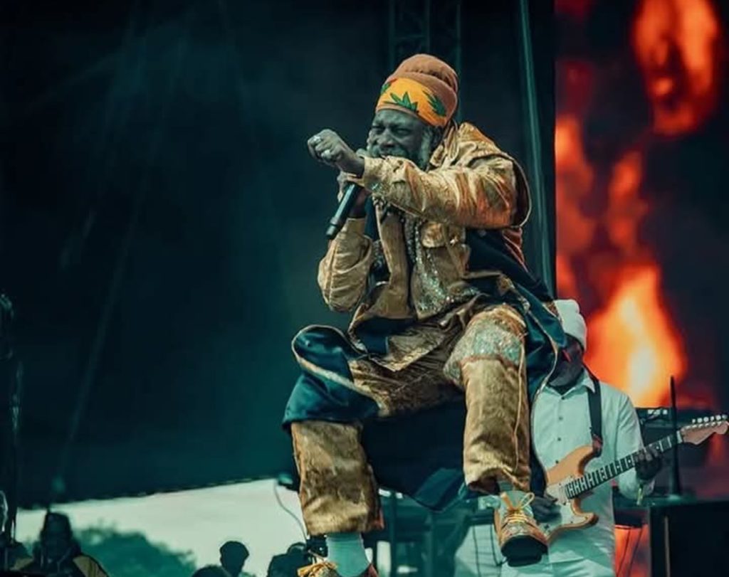 The Evolution Of Jerk From Maroon Tradition To Global Icon - PURE ...